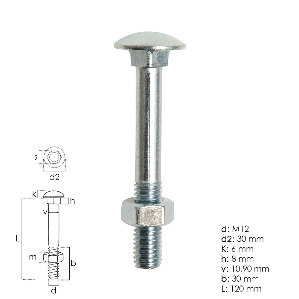 🥇 distribuidor tornillo carrocero zincado cabeza redonda con tuerca m12 x 100 mm din603 calidad ...